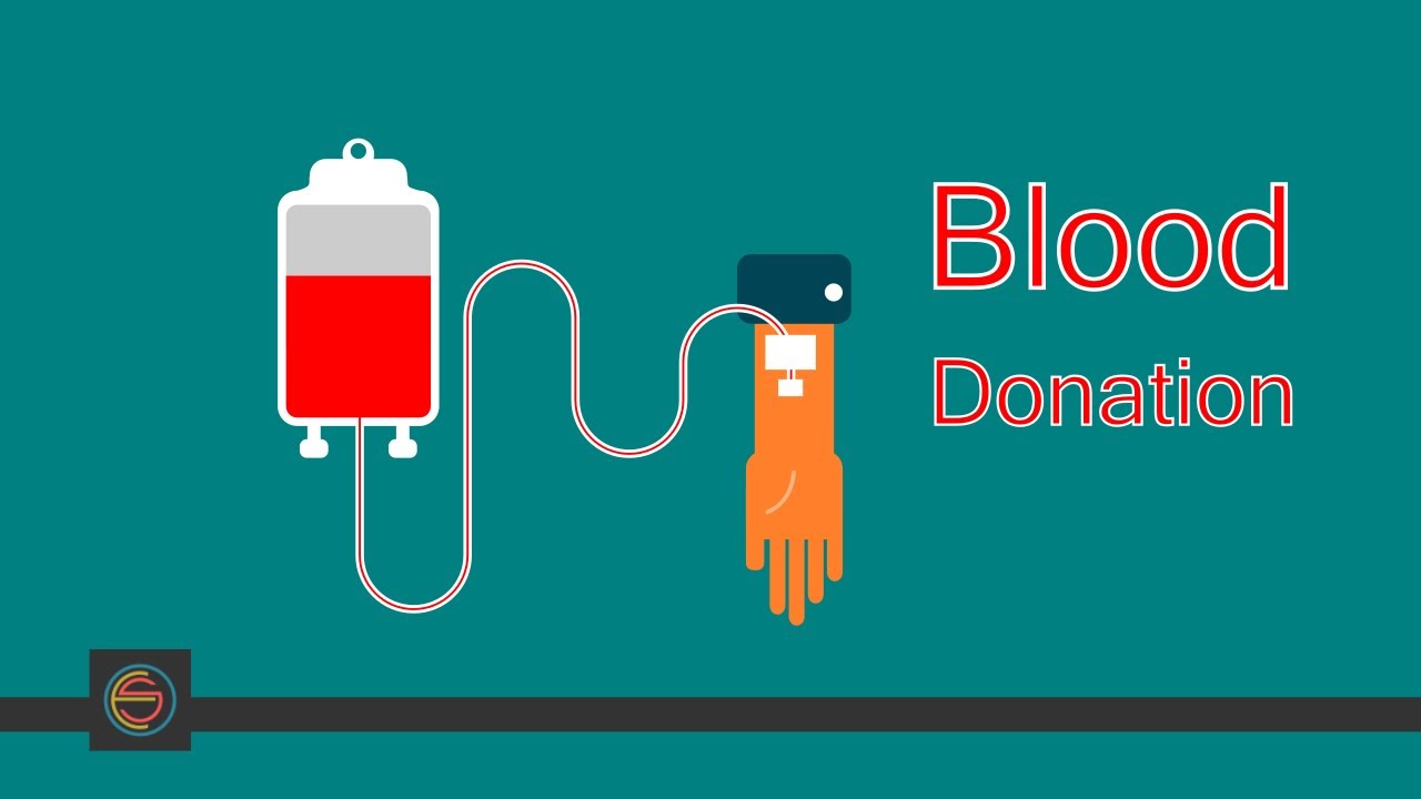 Blood Donation Vector And PNG Art
