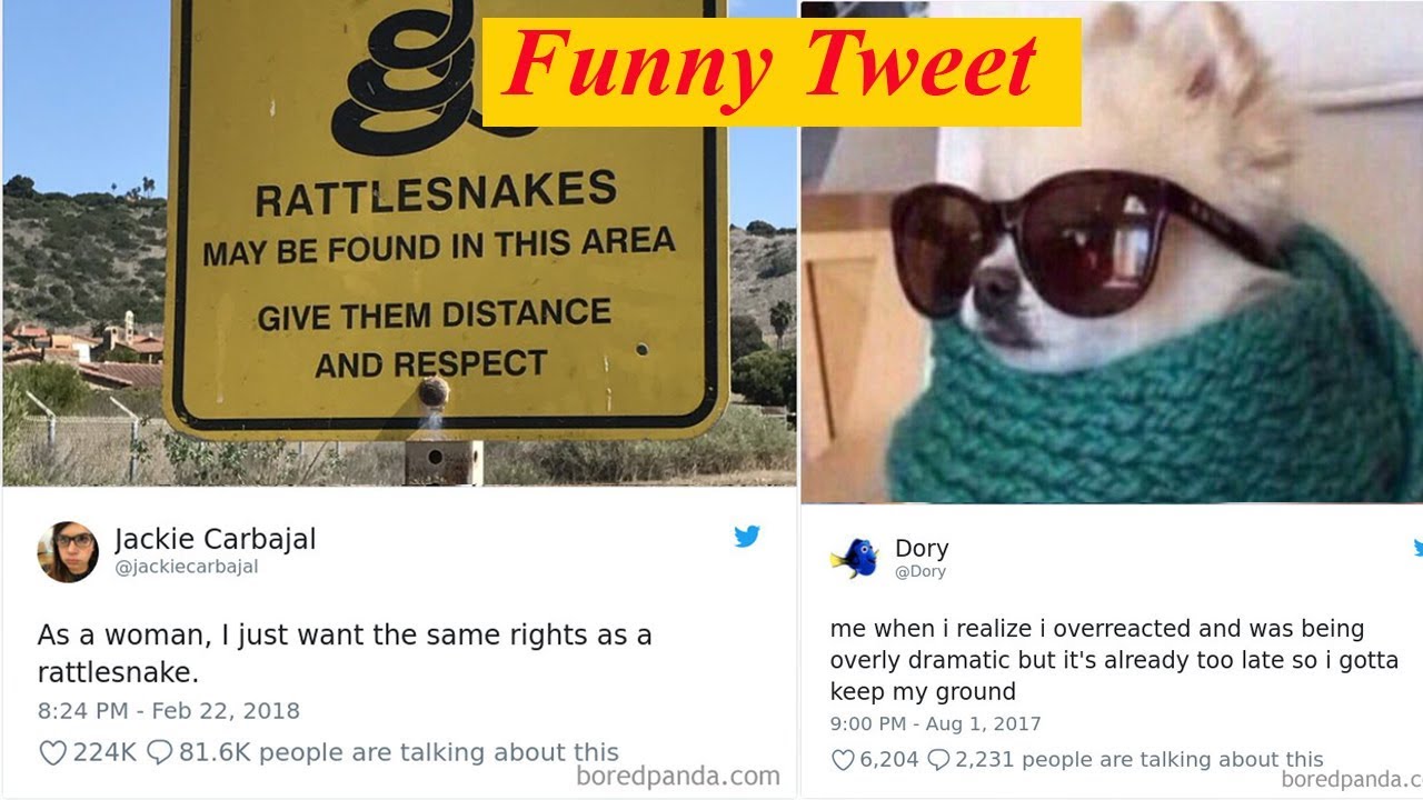 10+ Epic Tweets By Women That Made The Whole Internet Laugh Out Loud - Funny Pics Tube