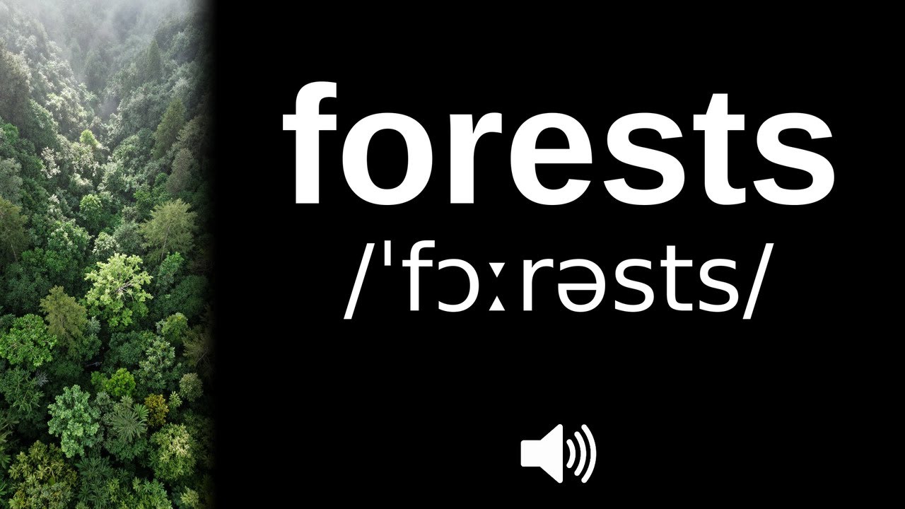 How to pronounce forests (CORRECTLY!)