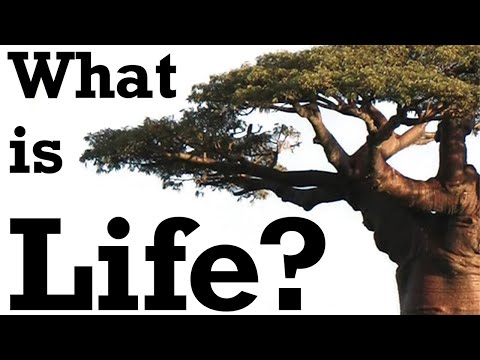 What is Life?