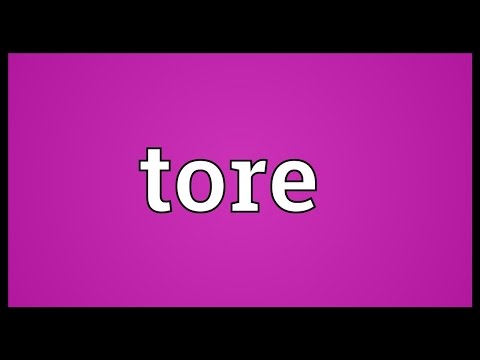 Tore Meaning