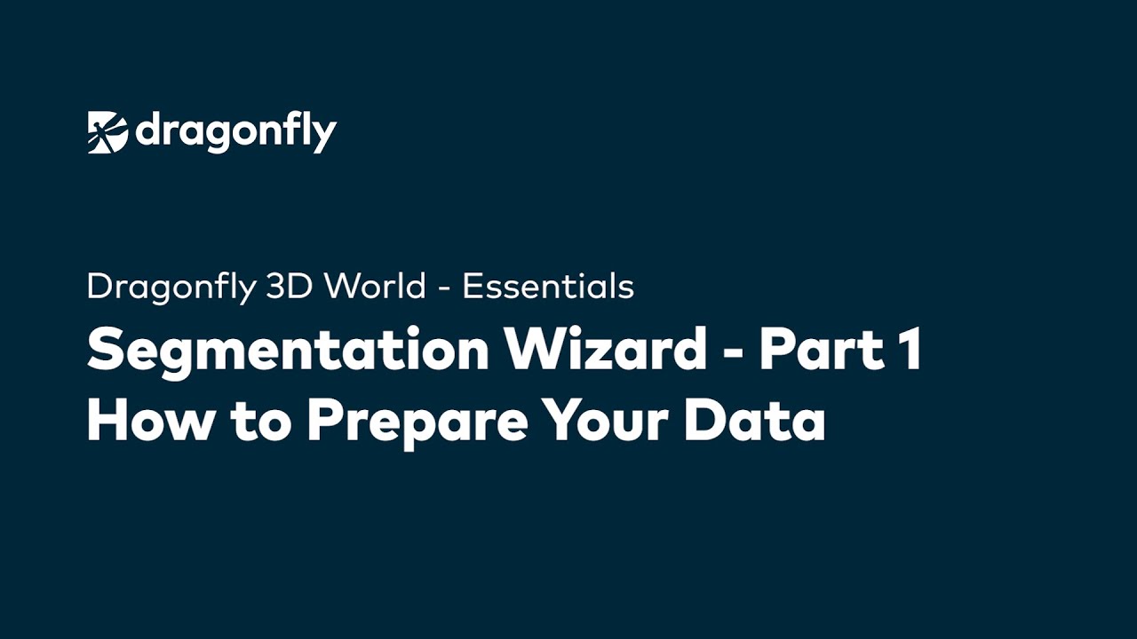 Segmentation Wizard - Part 1: How to Prepare Your Data