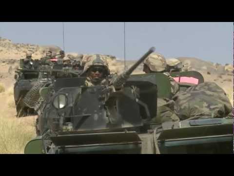 Opération Serval : point de situation du jeudi 28 février - Amicale des ...