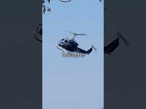 He Flew a Stolen Helicopter onto the White House Lawn! #shorts