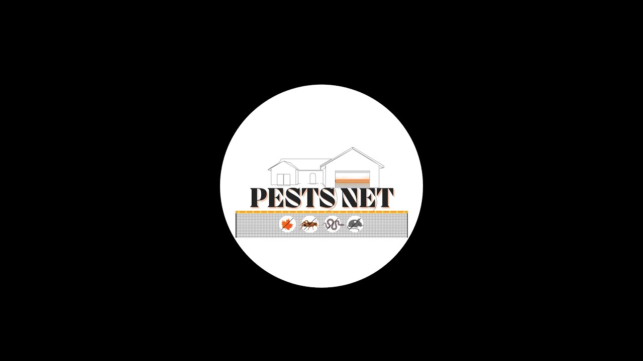 Pest Net for Garage | Pests Net