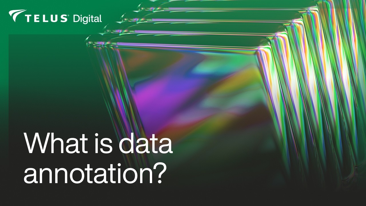 Data Annotation: How to Prepare Data for Machine Learning