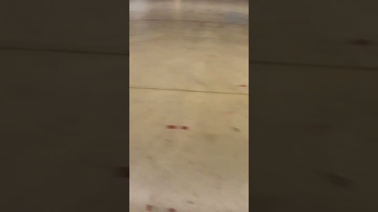 IPSC Practice #shortsvideo #ipscshooting #shootingcompetition #uspsa #shorts #shootingsport #guns