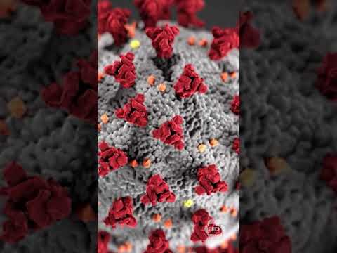 COVID-19 may increase risk of heart attacks, strokes, deaths for 3 years after infection: study