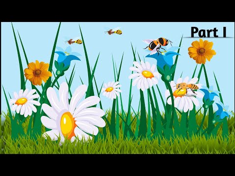 Pollination || in Hindi