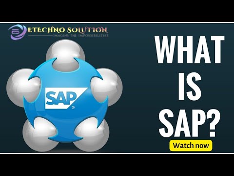 WHAT IS SAP? WHY DO WE NEED ERP?