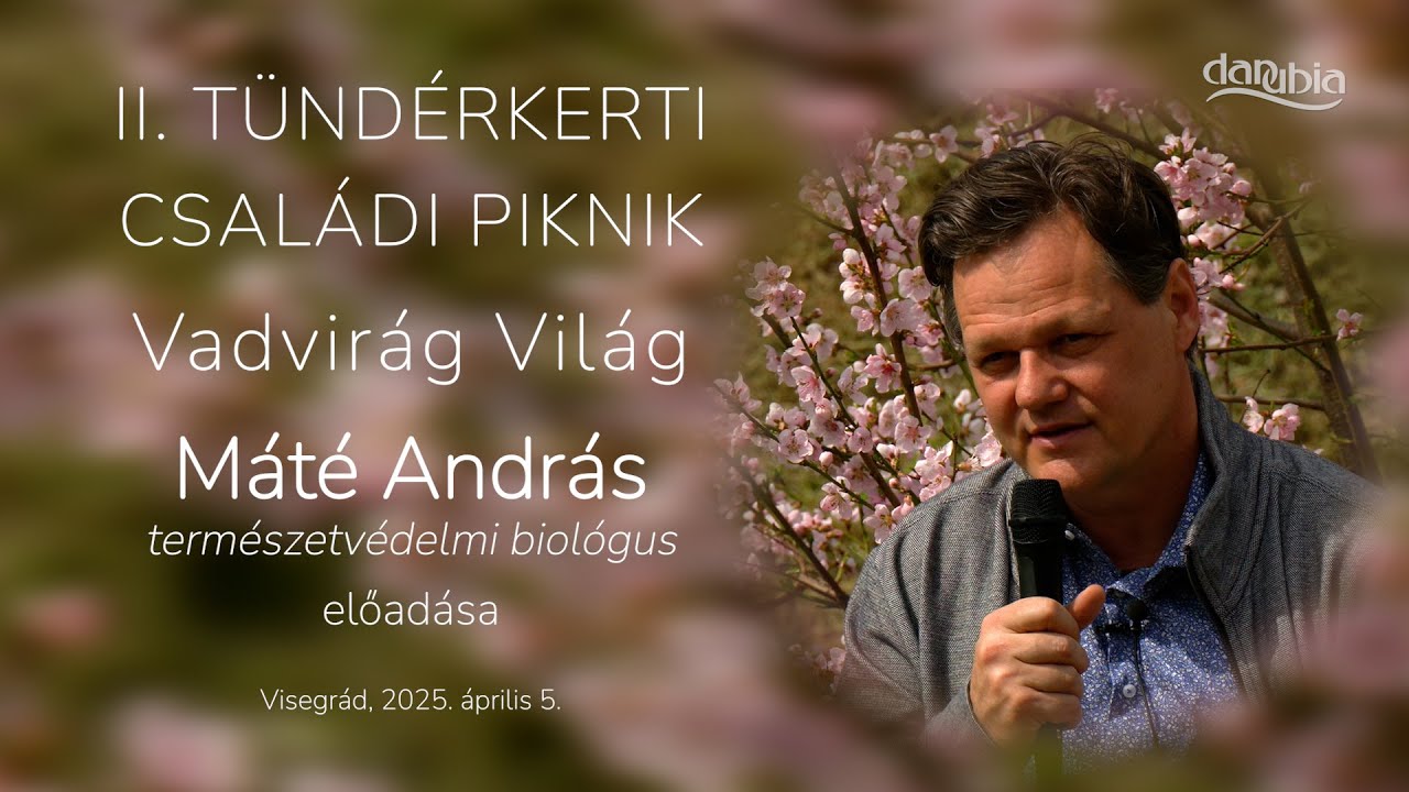 VISEGRÁD - II. Tündérkerti Családi Piknik - Máté András ...