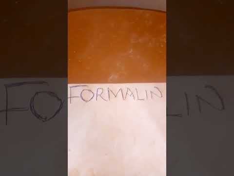 FORMALIN----A CHEMICAL IN PAINT PRODUCTION.