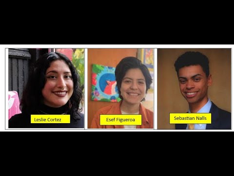 Illinois TIF Illuminators Reflect