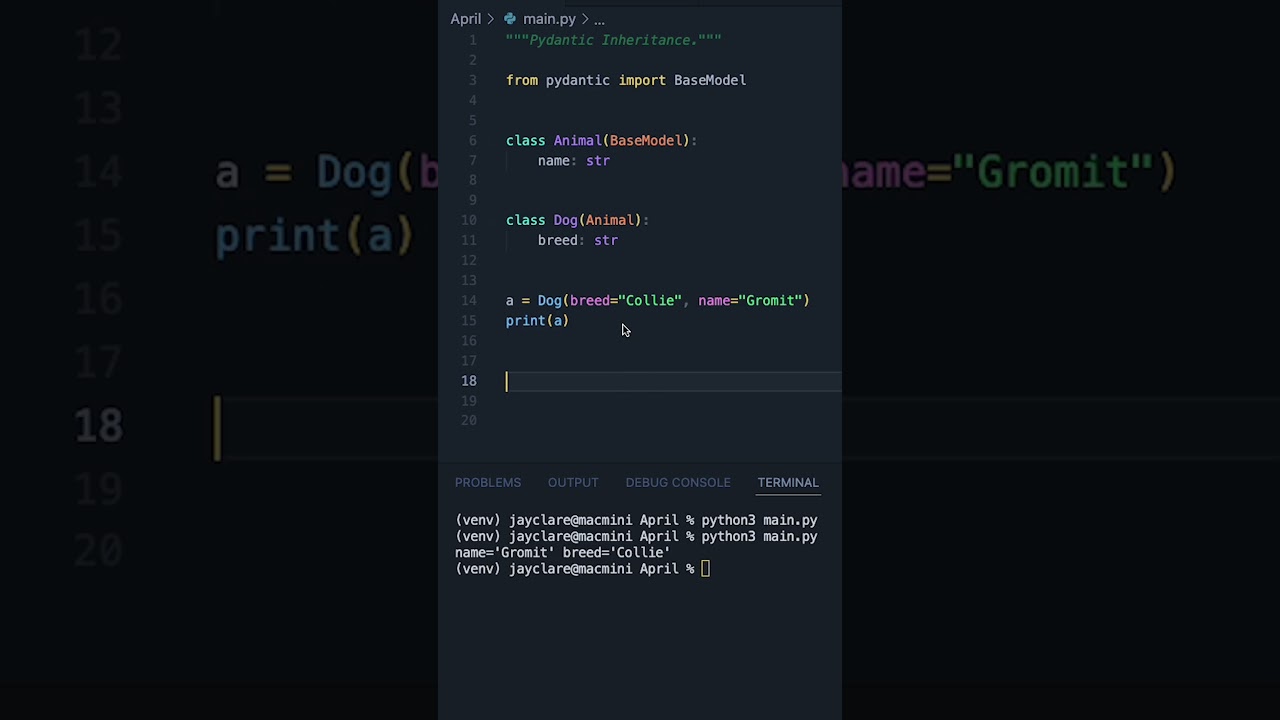 Python 3 | Pydantic & Inheritance  #python3 #coding #programming