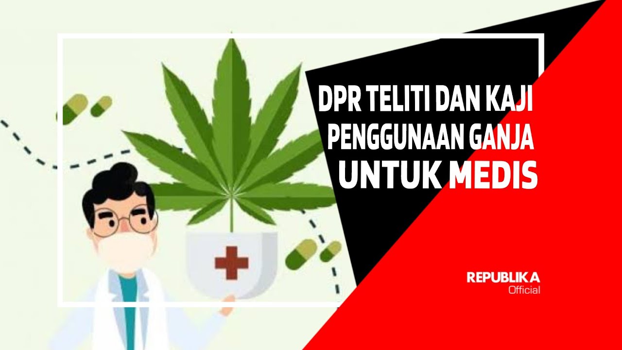 DPR Teliti dan Kaji Penggunaan Ganja untuk Medis