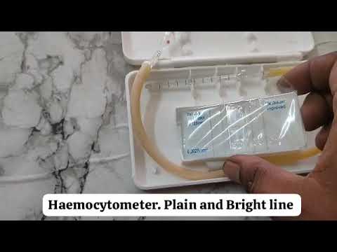 Haemocytometer - Counting Chamber Latest Price, Manufacturers & Suppliers