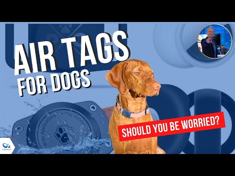 Is an AirTag dangerous to your dog? | Kurt the CyberGuy
