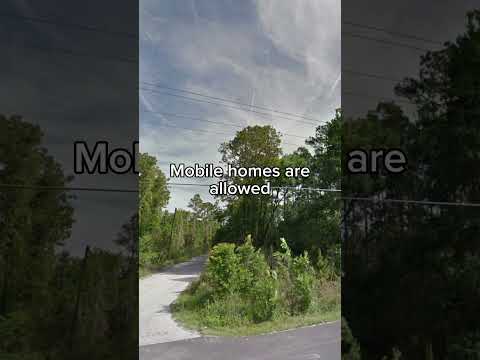 0.11 acres for sale in Fort McCoy, FL