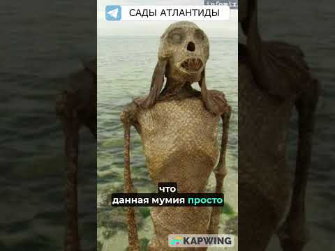 В ПЕРУ НАЙДЕНА ТРЕХПАЛАЯ МУМИЯ На плато Наска найдена мумия гуманоида Ученые спорят об артефактах