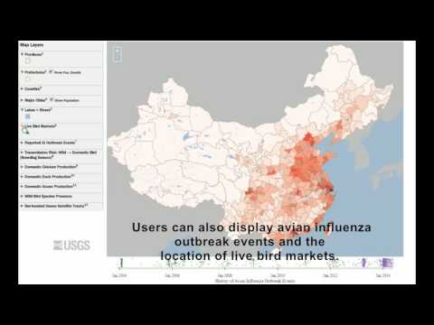 Avian Influenza Transmission Risk Model Web Application Virtual Tour