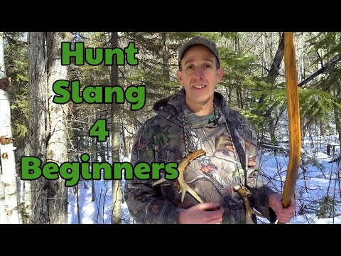 4 Important Hunting Terms for Beginners - A Guide to Hunting Slang Meanings