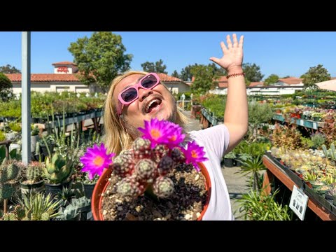 I Found Some of the Coolest, Most Irresistible Plants! REFRESH RESTART