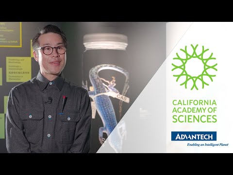 【Case Study】California Academy of Sciences UTC and UTK Interactive Display Solution