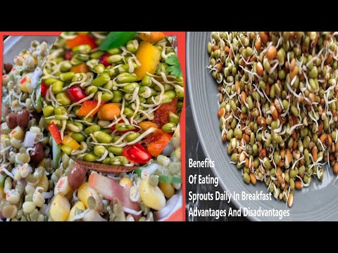 Benefits Of Chana Eating Sprouts Daily In Breakfast for Weight loss SkinSprouts‎@priya_Ale_official