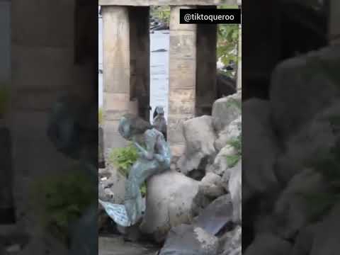 regardez le vrai sirène au fleuve Congo sur le pont ledya
