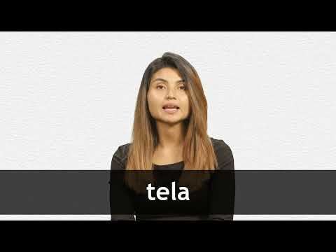 English Translation of “TELA” | Collins Spanish-English Dictionary