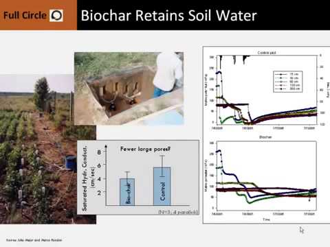 Biochar Facts