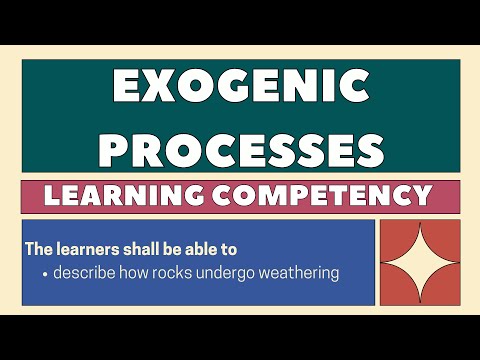 Exogenic Processes | Types of Weathering | Mechanical Weathering and Chemical Weathering