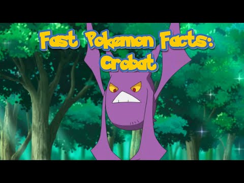 Fast Pokemon Facts: Crobat