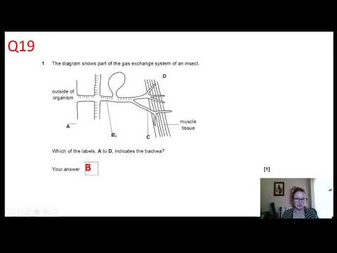 Past paper 2020 mark scheme