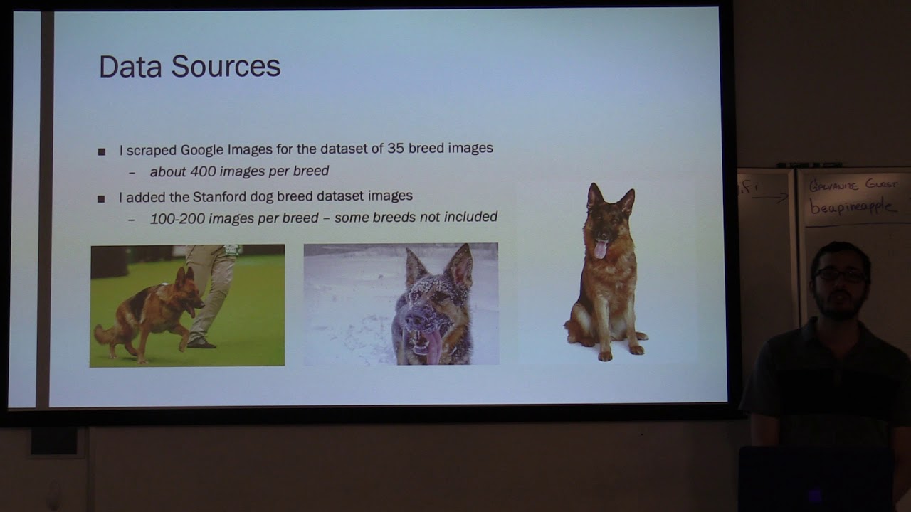 Dog Breed Image Classification