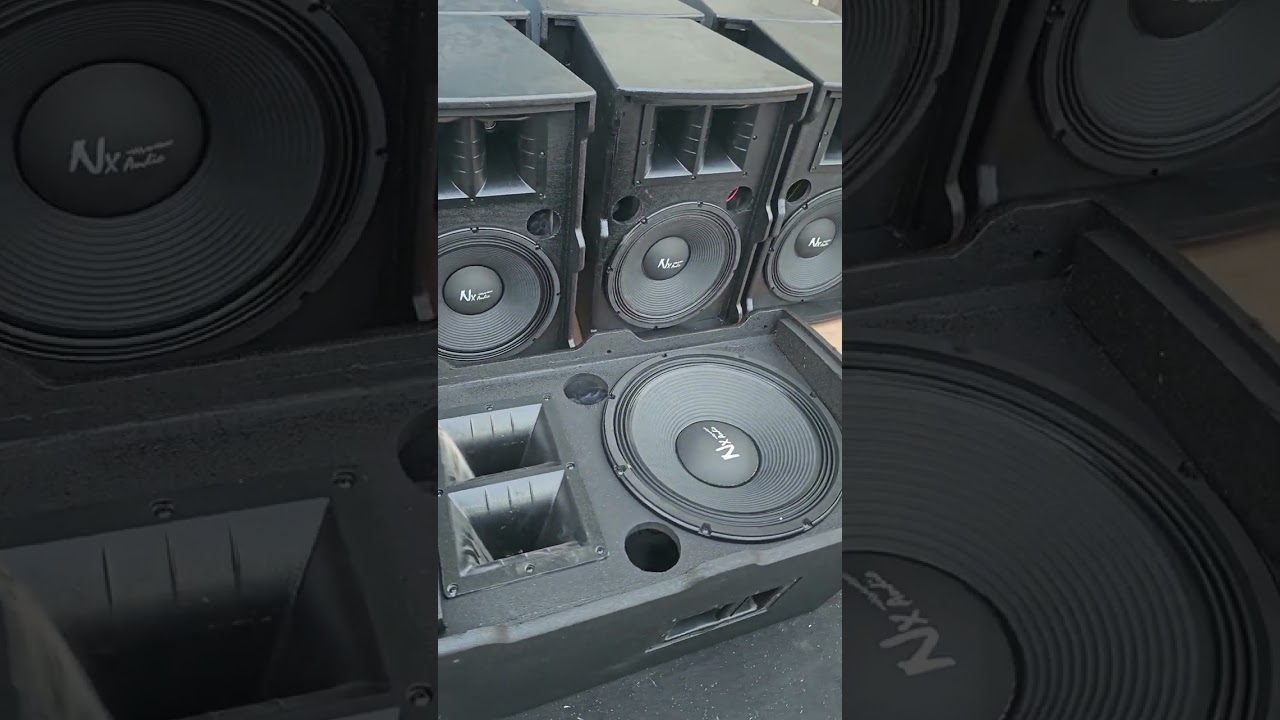 nx audio speaker 800w+ doul 450 hf( monitor ready for gurgaon club)(2)