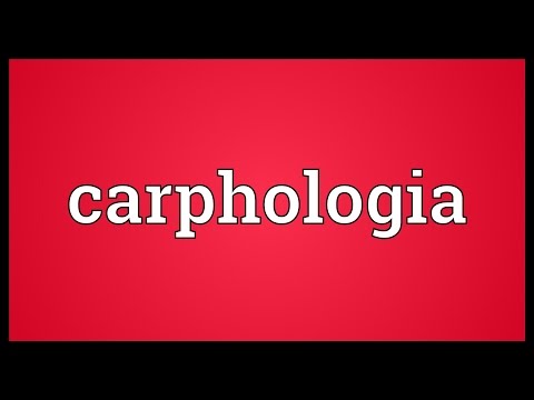 Carphologia Meaning