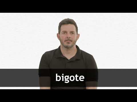 English Translation of “BIGOTE” | Collins Spanish-English Dictionary
