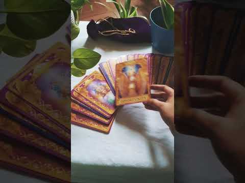Attract your dream job with angel number 555. Comment Affirm #tarot #careerreading #guidance #angel