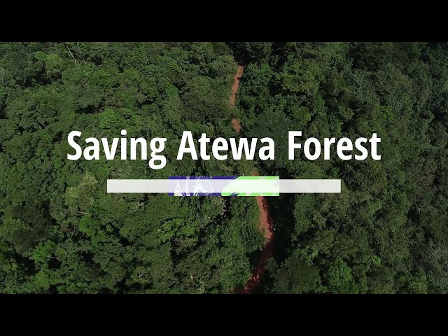 Deforestation in Ghana:Causes and Factors, Effects of Deforestation ...