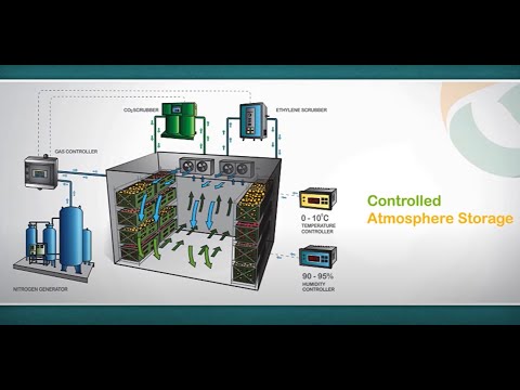 Controlled Atmosphere Storage in India
