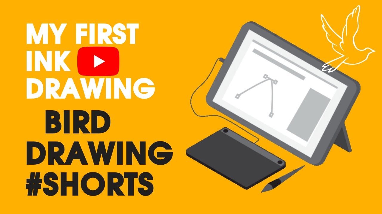 How todarw Bird 😳 | 🐦 bird drawing #shorts