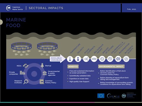 Copernicus Marine Service supports safety at sea and pollution response
