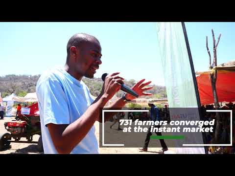 Ward 6 Mwenezi District: CIMMYT Seed and Mechanization Fair Highlights