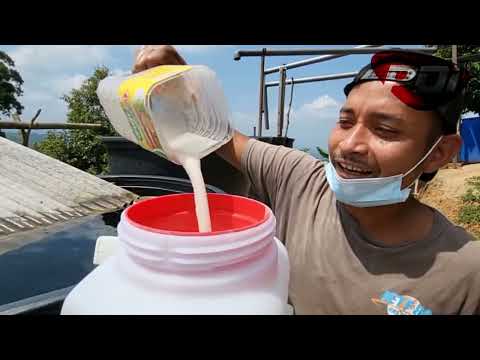 DURIAN KANKER | CARA BANCUHAN CAIR DOLOMITE