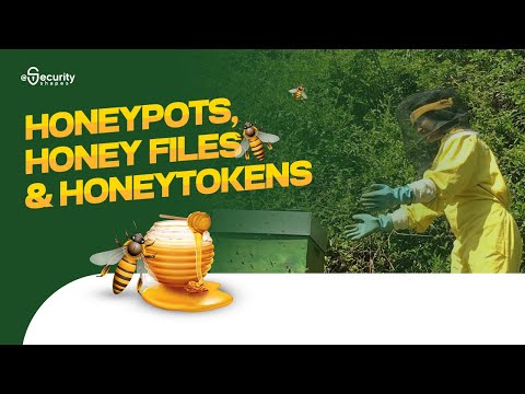 Honeypots, Honey files & Honeytokens & DNS Sinkholes