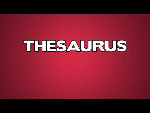 Thesaurus Meaning