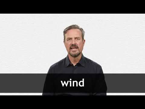How to pronounce WIND in American English
