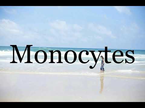 How To Pronounce Monocytes🌈🌈🌈🌈🌈🌈Pronunciation Of Monocytes