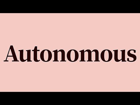 Autonomous Meaning and Definition